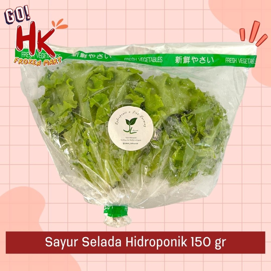 Jual Sayur Selada Hidroponik 150gr | lettuce salad fresh organik segar ...