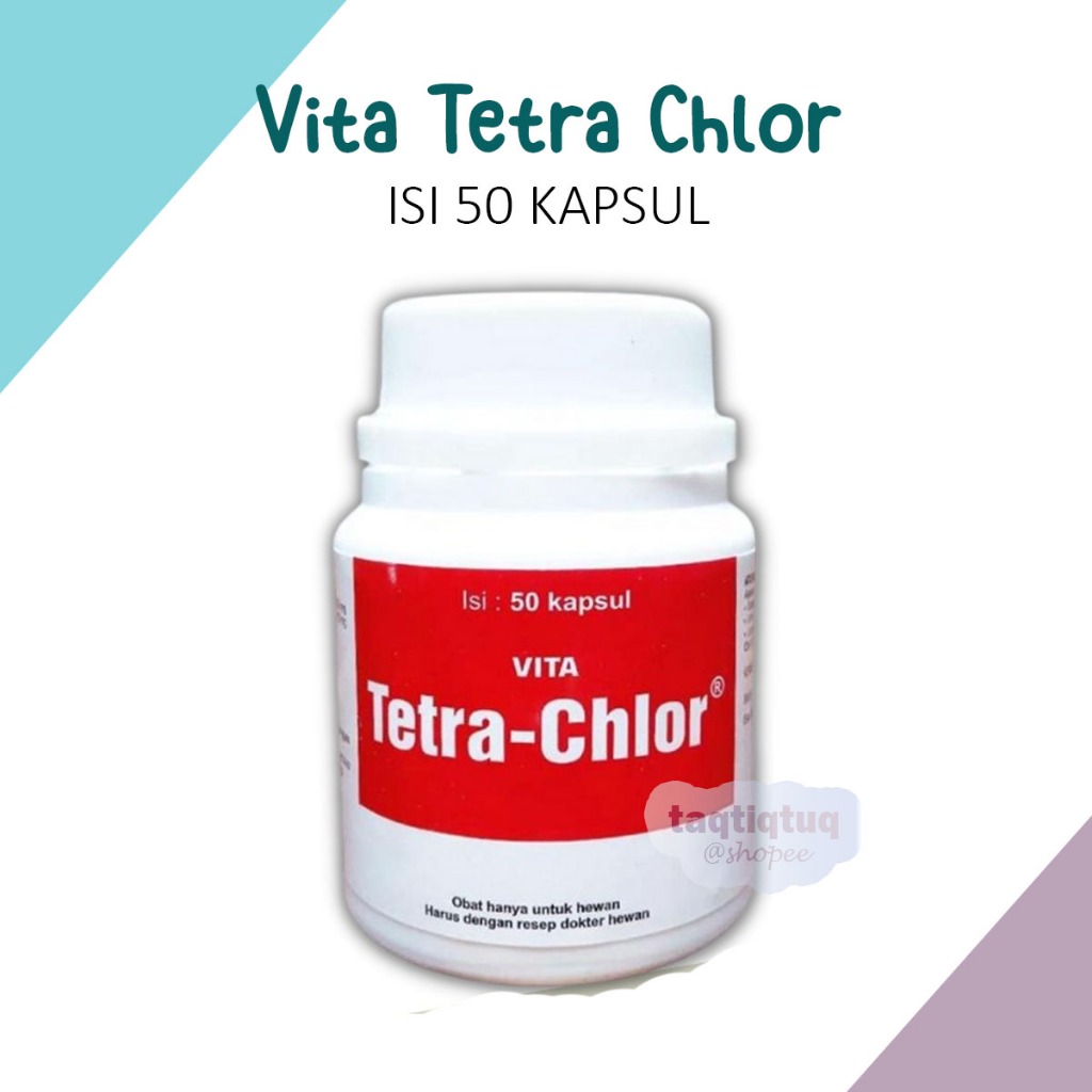 Jual Medion Vita Tetra Chlor 50 Kapsul Obat Ayam CRD Snot Pilek Ngorok ...