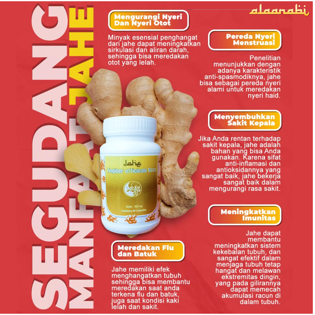 Jual Kapsul Jahe ekstrak 60 capsul herbal rematik kolesterol sesak ...