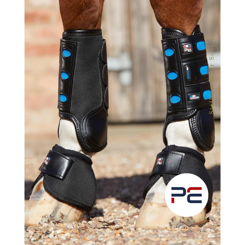 Jual tendon boots pelindung kaki kuda olahraga berkuda horse riding ...