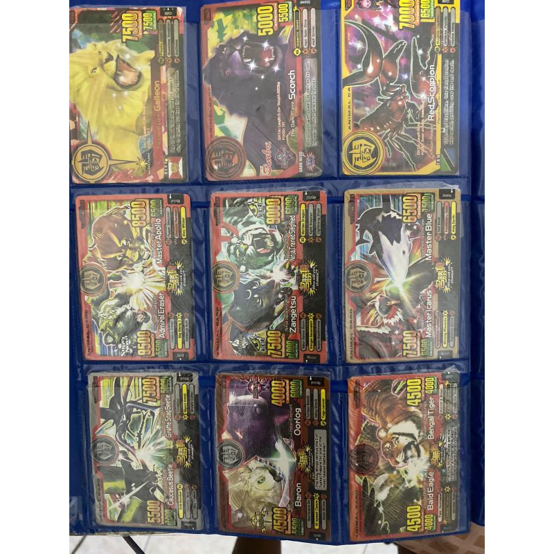Jual PROMO ANIMAL KAISER STRONG CARD SCORCH,SIEGFRIED, ADMIRAL ERASER ...