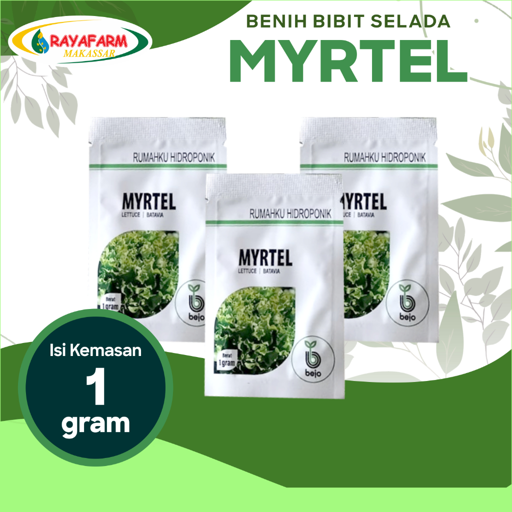 Jual Benih Bibit Selada Myrtel 1gr - Bejo Seed | Shopee Indonesia