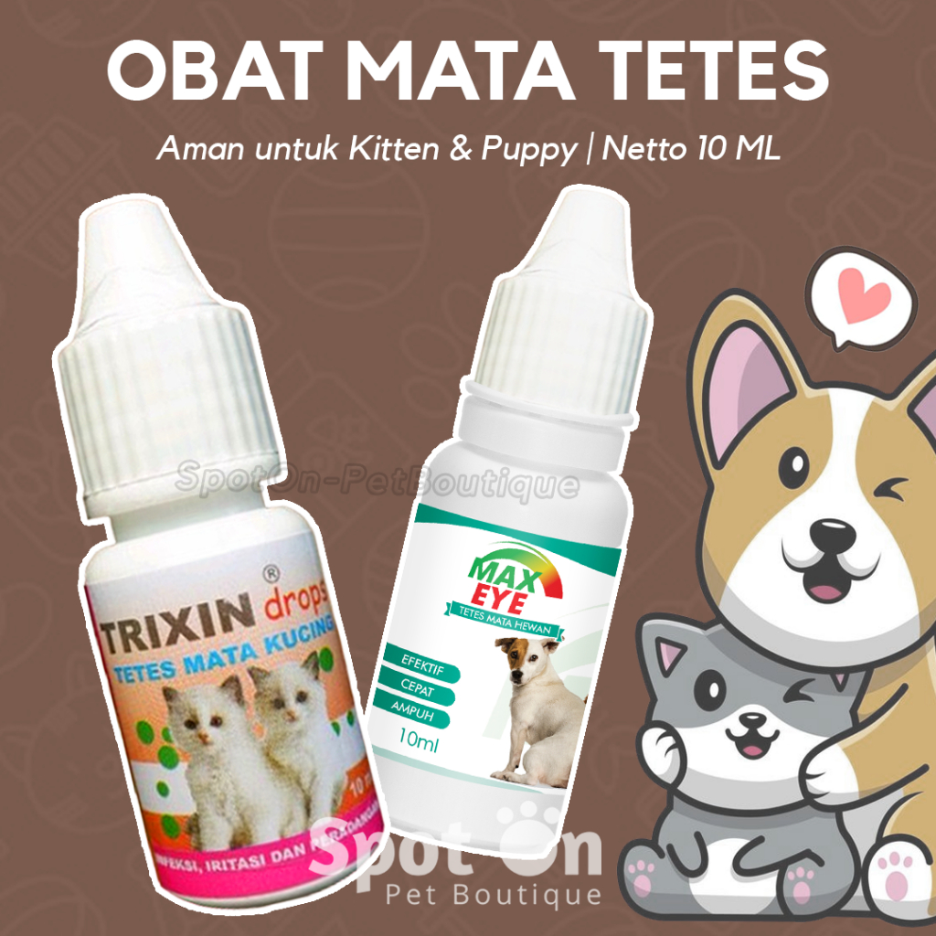 Jual Obat Mata & Hidung Kucing Trixin Max Eye | Tetes Mata Trixin Cat ...
