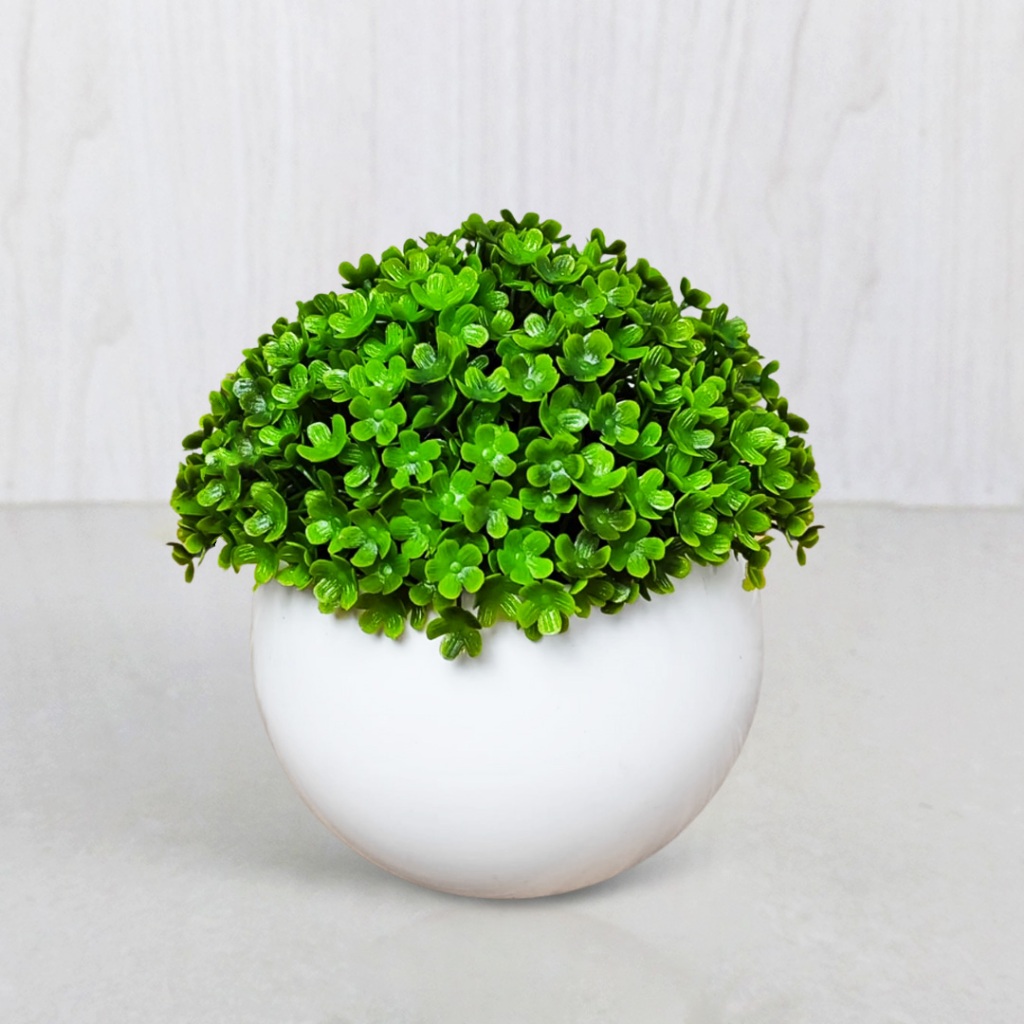 Jual UNICO Pot Bunga Plastik Hias Mini Import Termurah Bunga Rumput ...