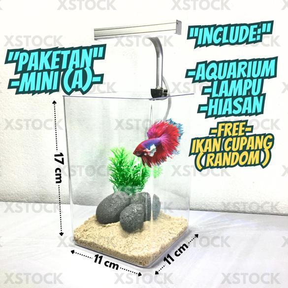 Jual PAKET AQUARIUM KACA FULLSET 60CM 50 40 30CM VIA INSTAN/GOJEK TANK ...