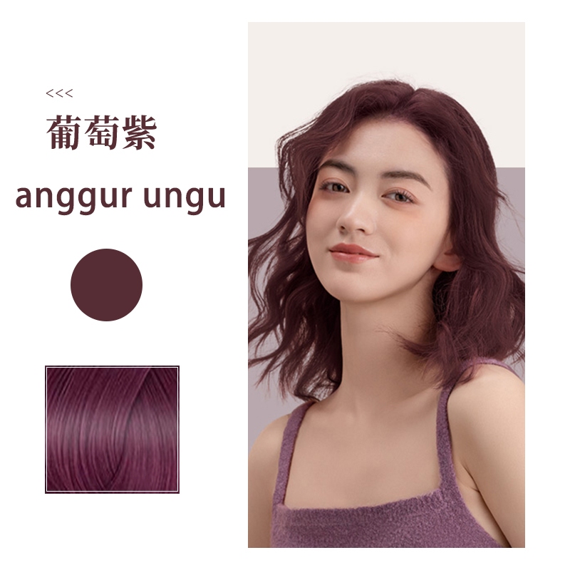 Jual QIWEITANG Pewarna Rambut Tanaman Gelembung Pencet Dan Gunakan ...