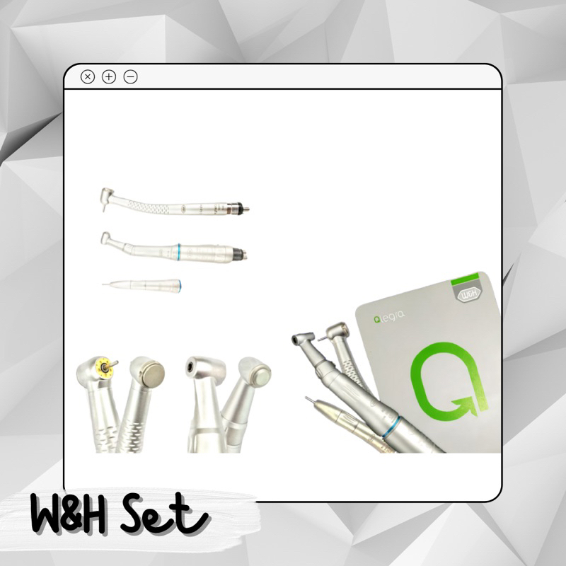 Jual W&H HIGHSPEED DAN LOWSPEED SET / WNH HANDPIECE SET 5 LED | Shopee ...