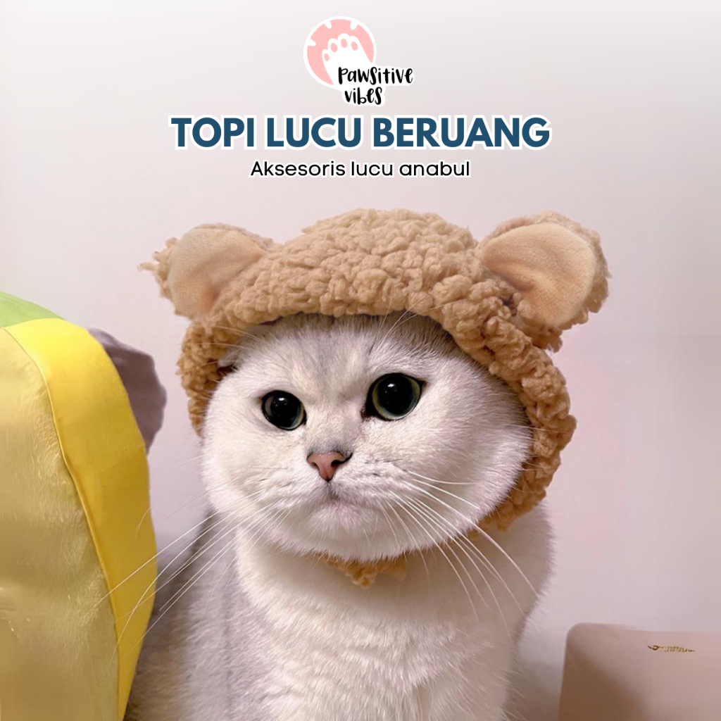 Jual Topi Kucing Beruang - Accesories Kucing | Shopee Indonesia