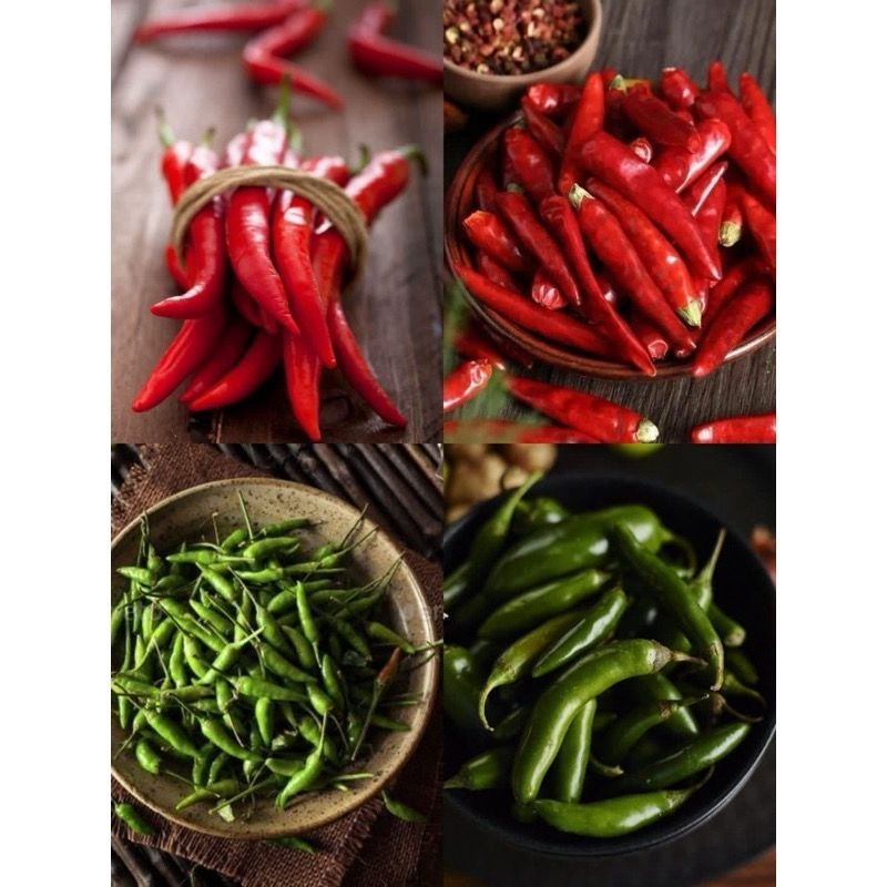 Jual Cabai Rawit / Cabai Keriting Merah / Cabai Keriting Hijau / Cabai ...