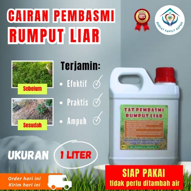 Jual Obat Pembasmi Rumput Terlengkap & Harga Terbaru Mei 2026 | Shopee ...