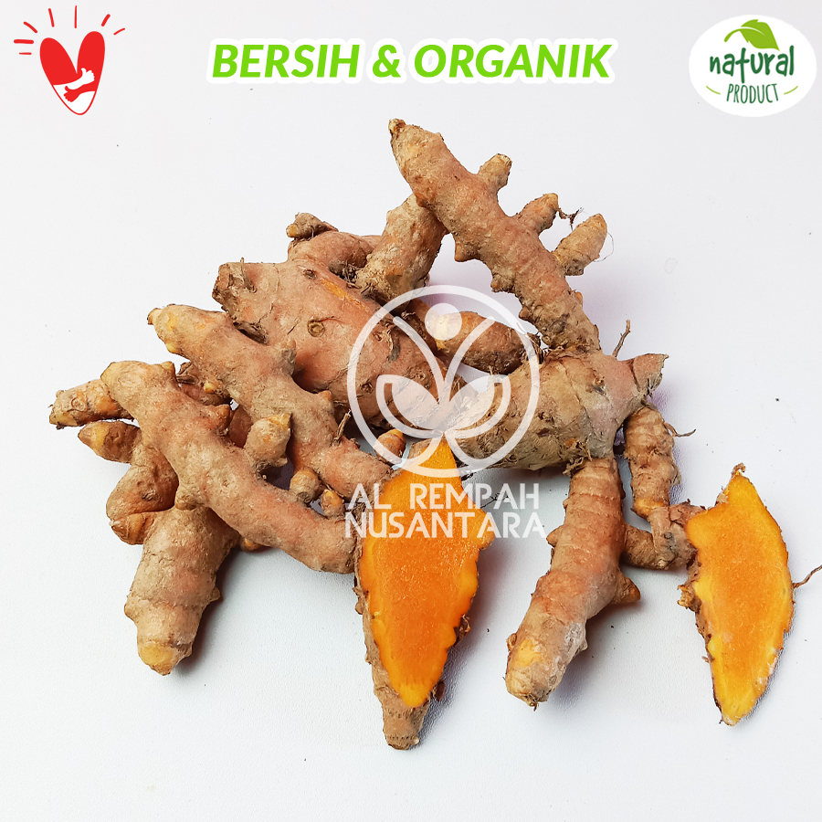 Jual Kunir 1kg / Kunyit Segar Organik Murah - Gunung Kidul | Shopee ...