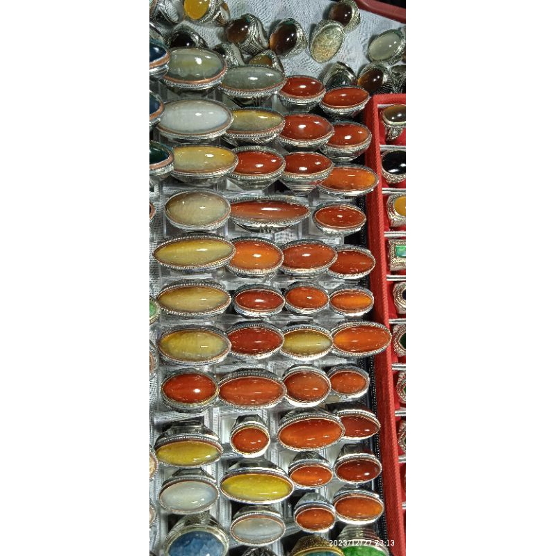 Jual macam macam jenis pandan | Shopee Indonesia