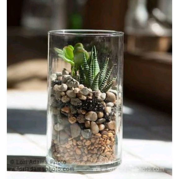 Jual Vas Bunga Kaca Cylinder Tabung Kanari Tinggi Besar Minimalis ...