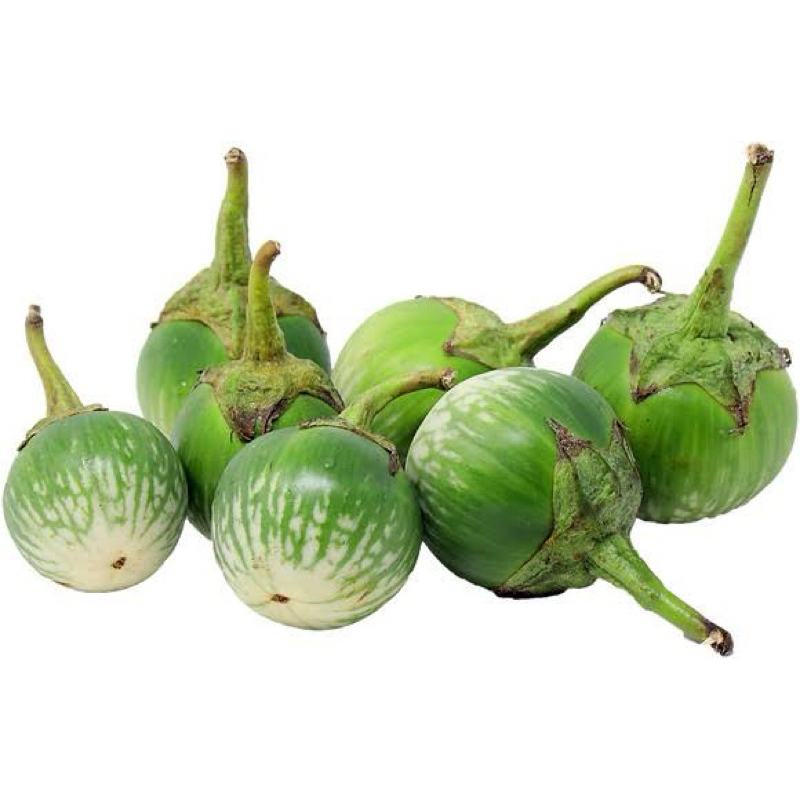 Jual Terong Lalap / Terong Ijo Hijau | Shopee Indonesia