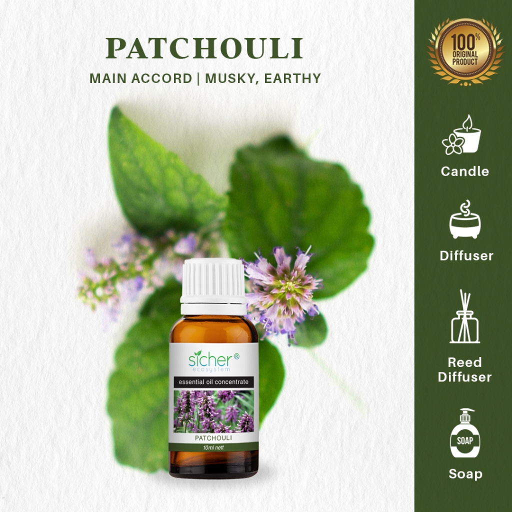 Jual Sicher Fragrance Oil Patchouli 10ml | Shopee Indonesia