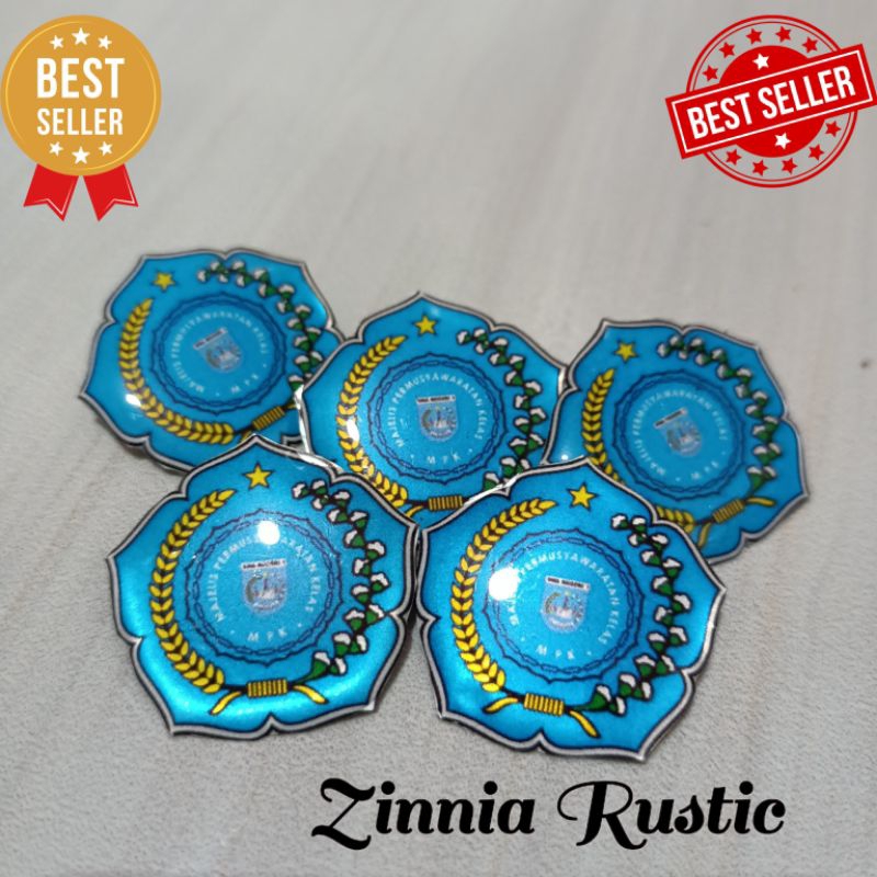 Jual Pin timbul custom pin resin custom logo pin logo custom lembaga ...