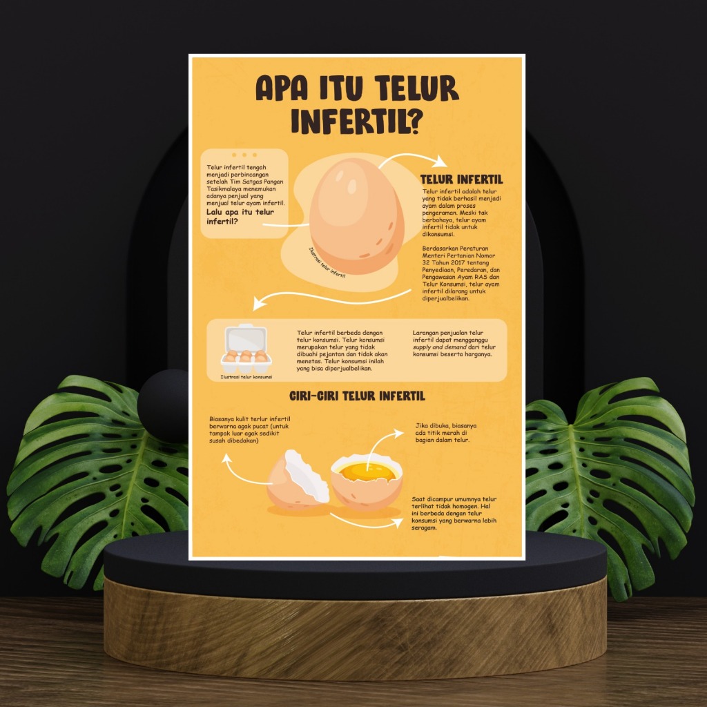 Jual Poster Kesehatan Apa itu Telur Infertil | Shopee Indonesia