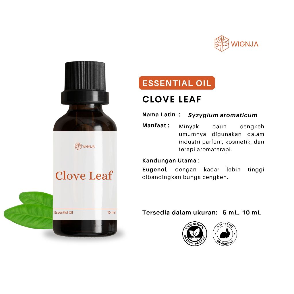 Jual Clove Leaf Oil Minyak Daun Cengkeh By Wignja Indonesia | Shopee Indonesia