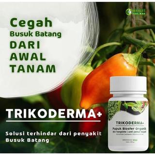 Jual ALFAGREEN 3 GRATIS 1-Bio-Fungisida Tricoderma Plus Pupuk Biosfer ...