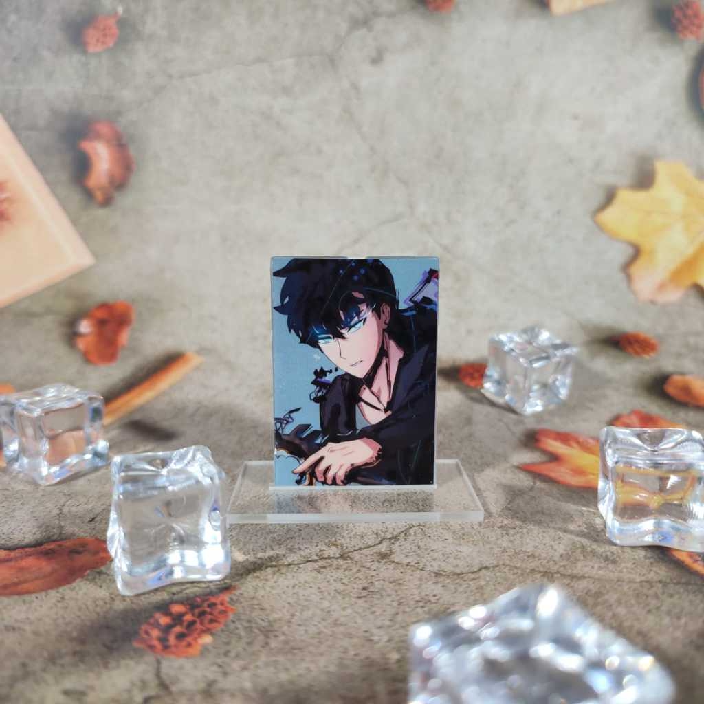 Jual Standee Anime Solo Leveling - Action Figure Solo Leveling ...
