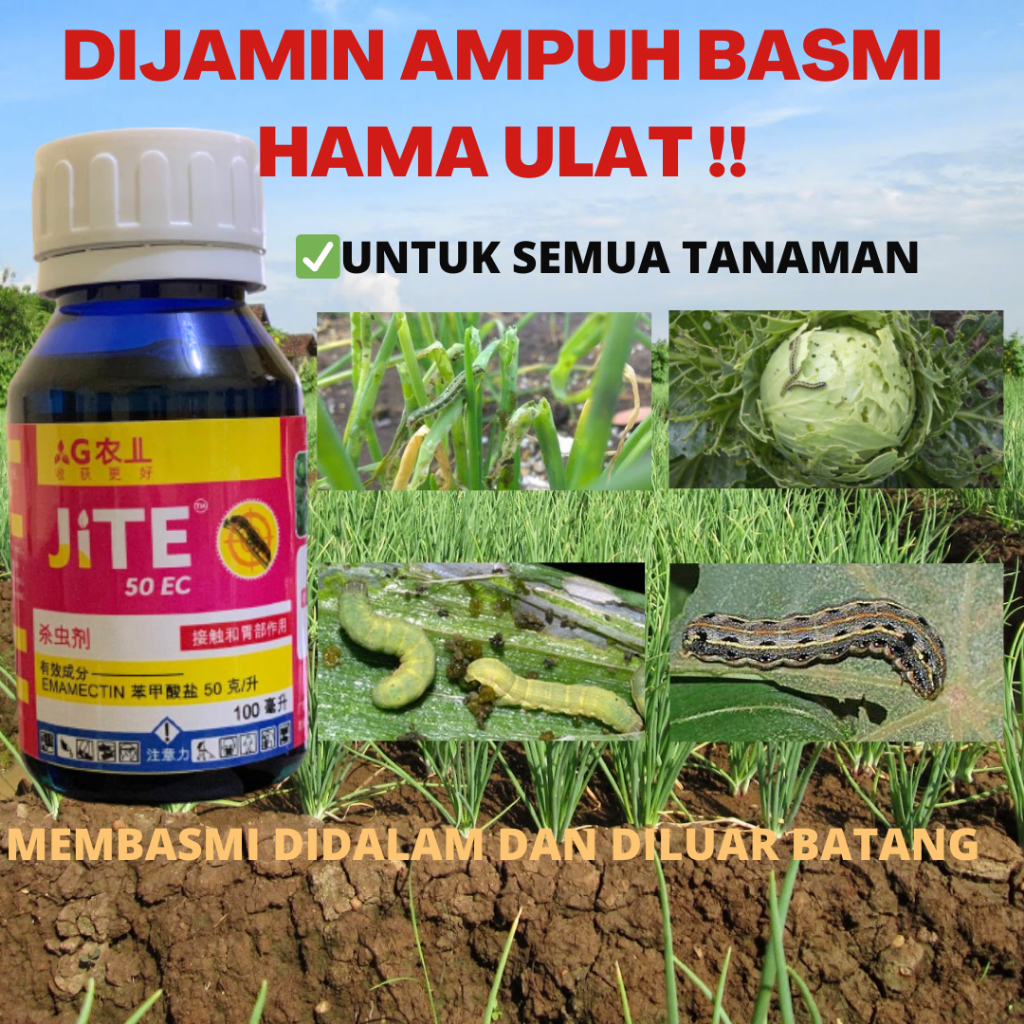 Jual Insektisida Sistemik Ulat Racun Obat Hama Pembasmi Ulat Dalam ...
