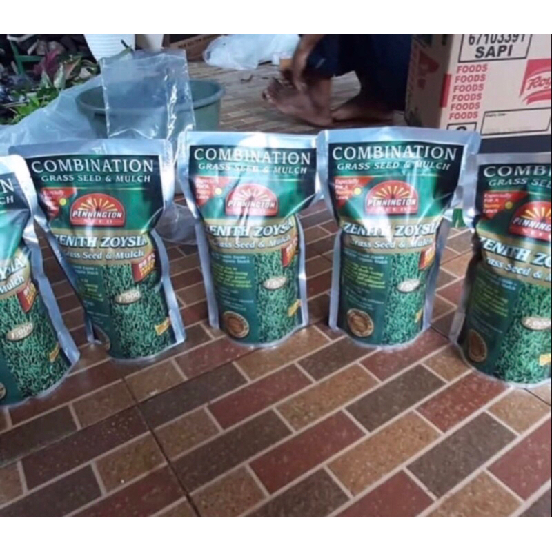 Jual Benih rumput / bibit rumput ZOYSIA MATRELLA 250GR (100% ORIGINAL ...