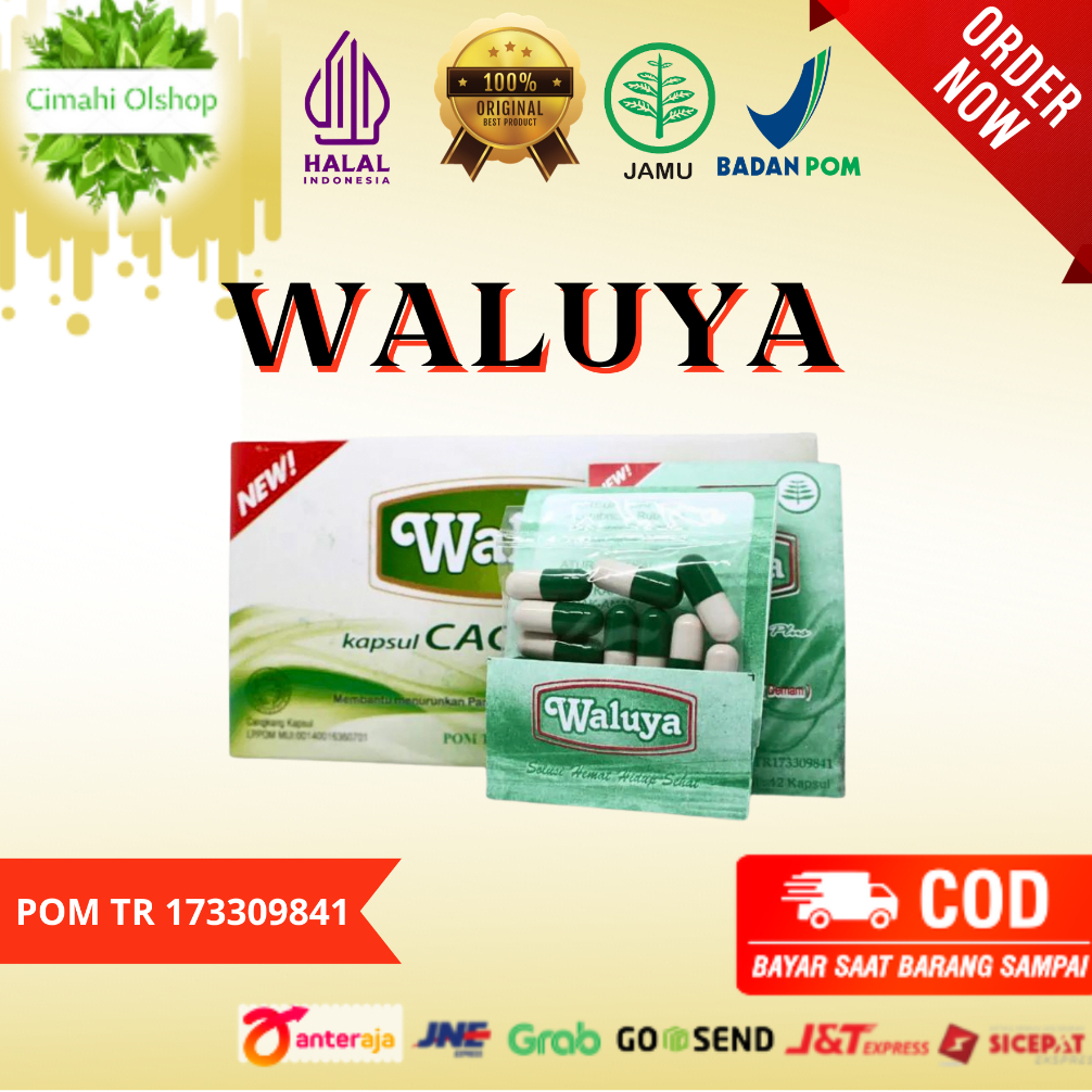 Jual Kapsul Cacing Waluya 1 box/Kapsul cacing waluya obat tipes ...