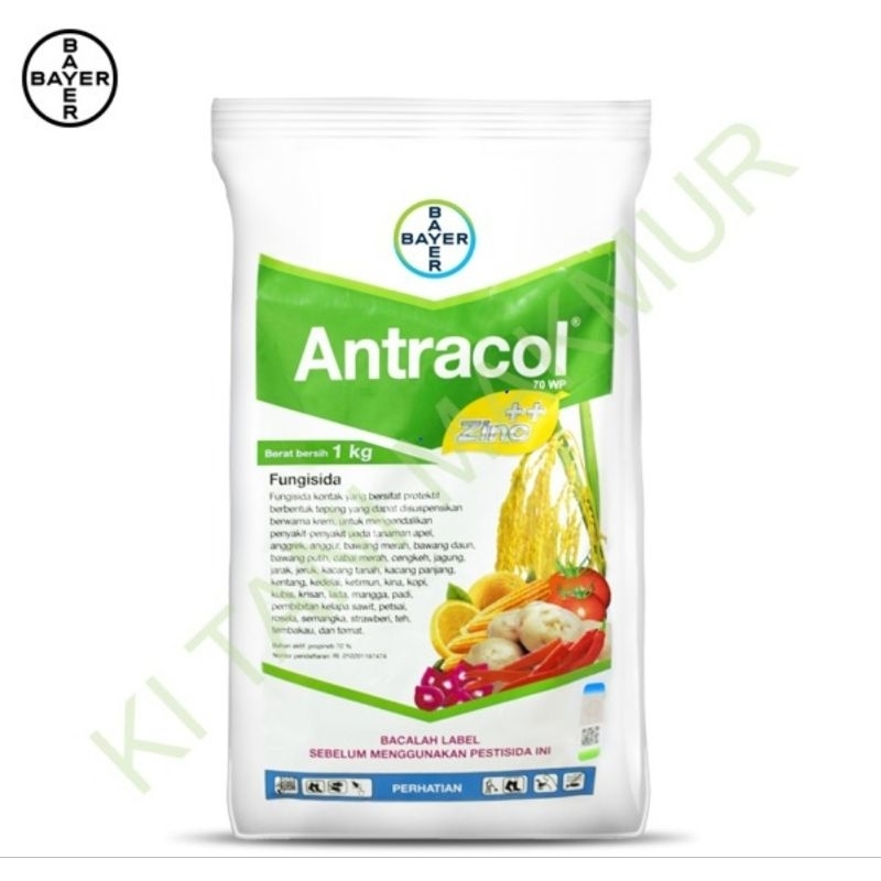 Jual FUNGISIDA ANTRACOL BAYER 100% ASLI - 1 KG | Shopee Indonesia