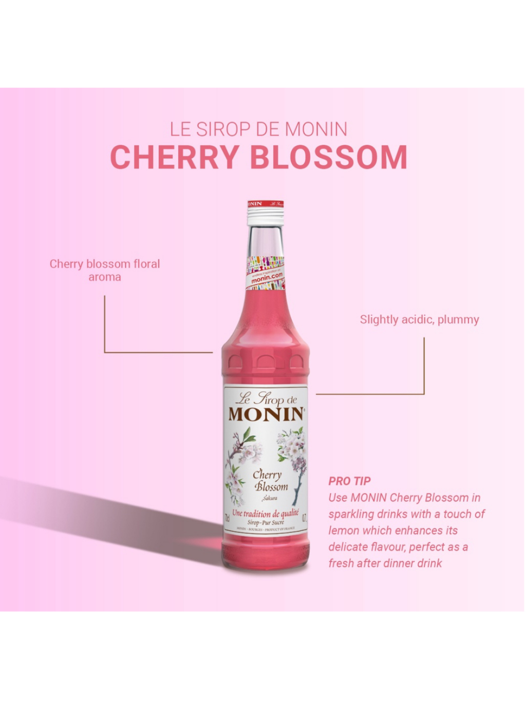 Jual Monin Cherry Blossom Syrup 700ML | Sirup Sakura Bunga Jepang 700 ...