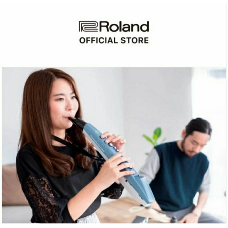 Jual Roland Aerophone Mini AE-01 Digital Wind Instrument product ...