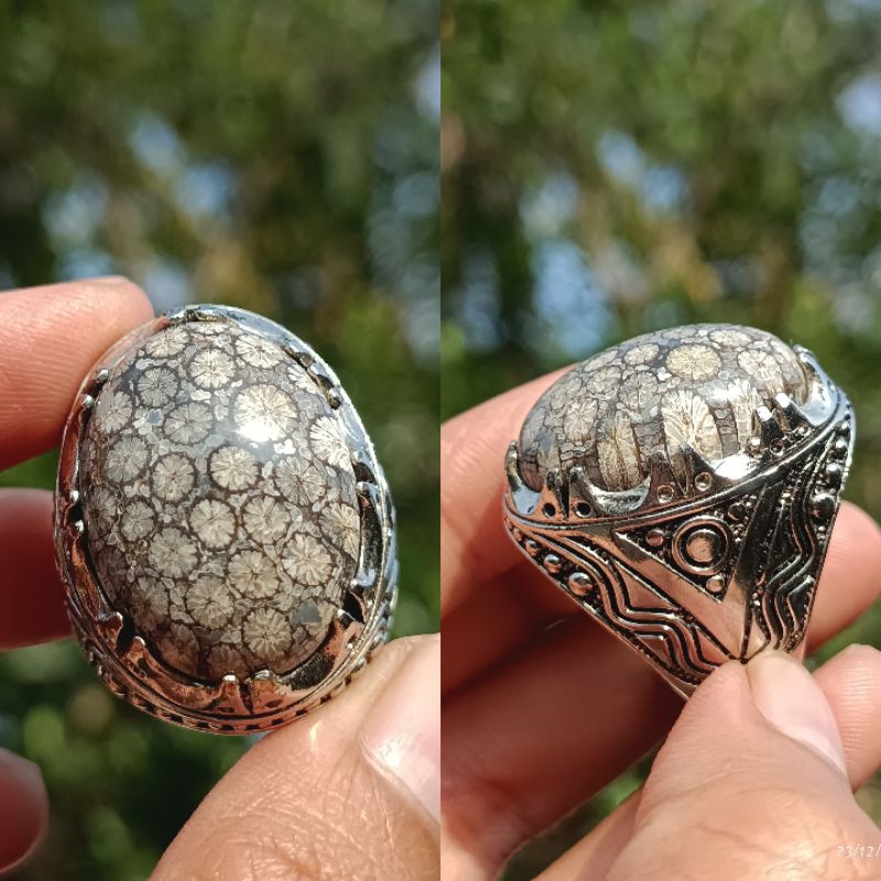 Jual Batu teratai hitam | batu akik teratai hitam natural asli | Shopee ...