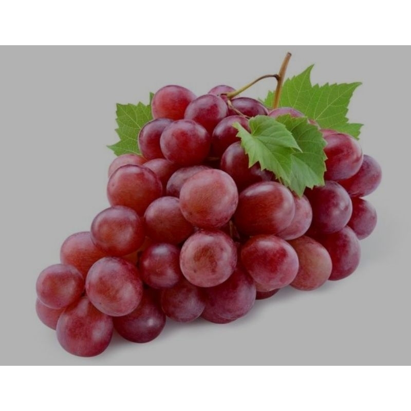 Jual Buah Anggur 1/2 kg | Shopee Indonesia