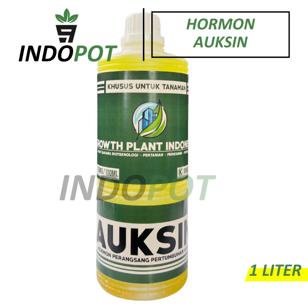Jual Hormon Perangsang Akar dan Tunas AUKSIN 1 Liter | Shopee Indonesia