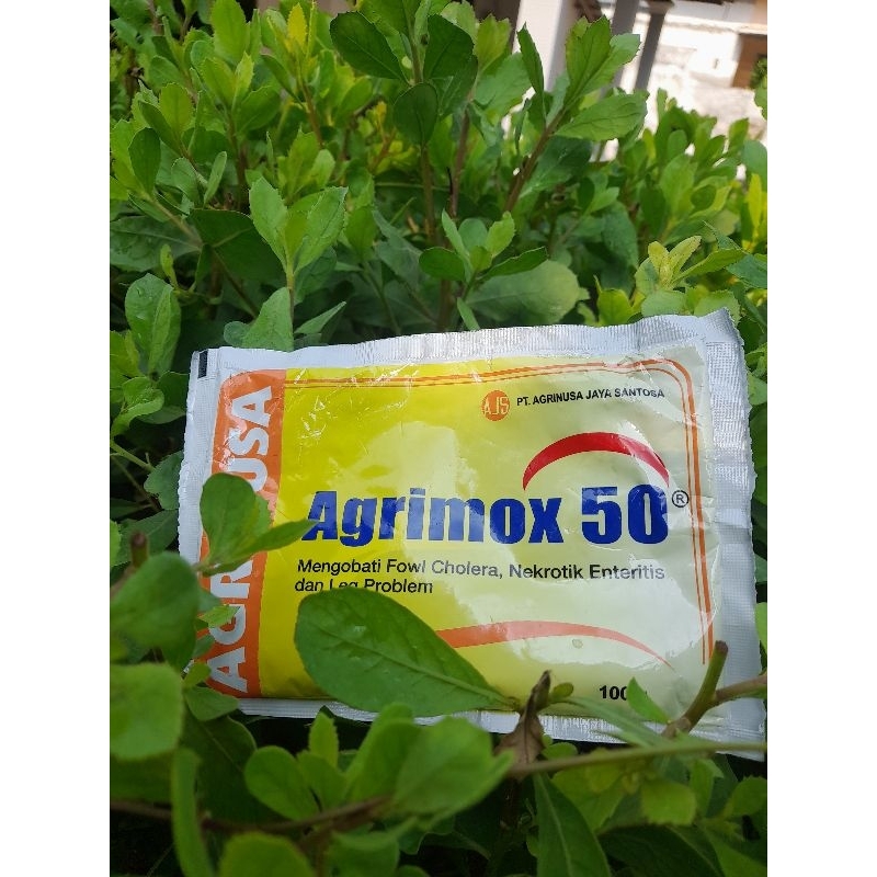 Jual Amoxycol AGRIMOX 50 -Anti Infeksi Pencernaan Ayam/ Unggas | Shopee ...