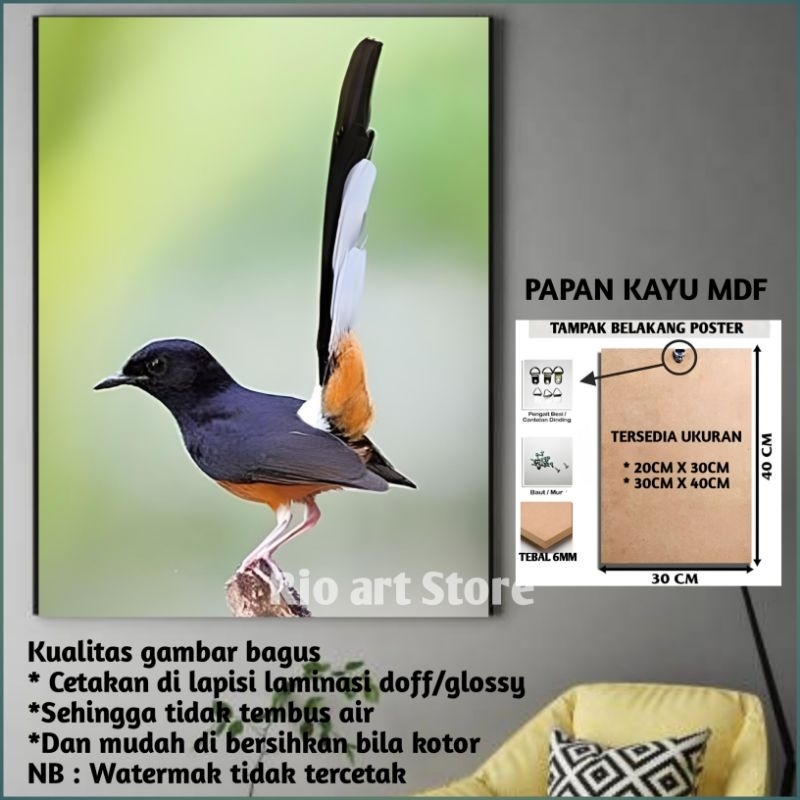 Jual Hiasan dinding poster burung mur4i untuk walldekor atau dekorasi ...