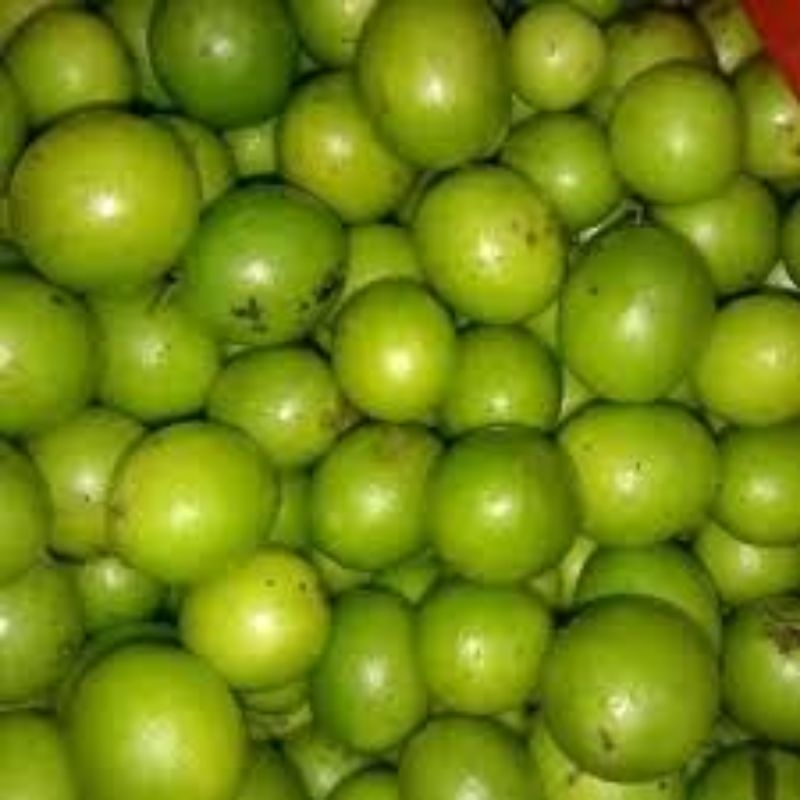 Jual Buah Gandaria jatake 500 / 1 kg | Shopee Indonesia