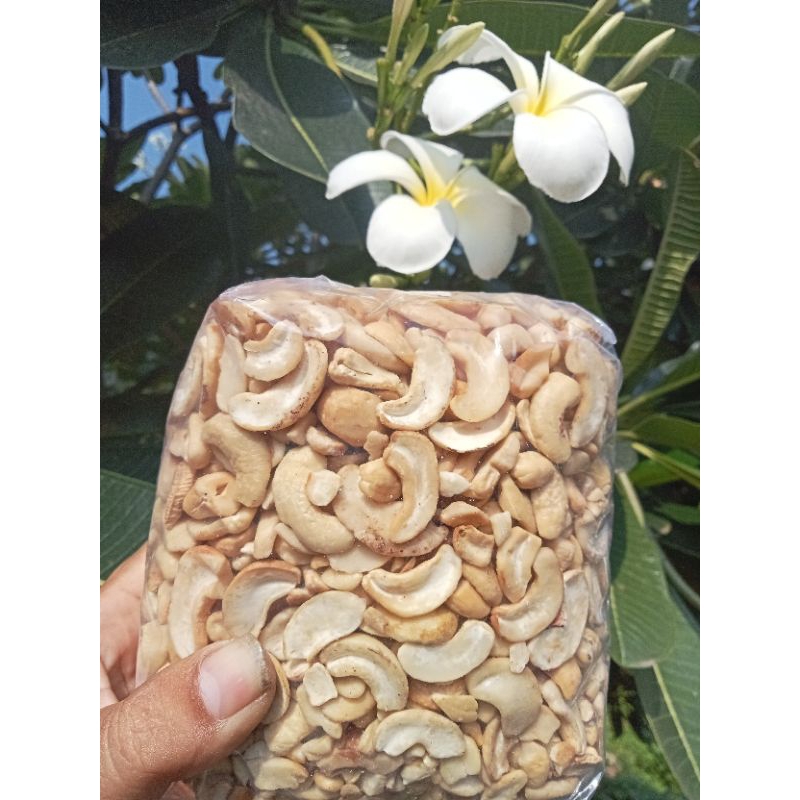 Jual kacang Mede mentah 1 kg | Shopee Indonesia