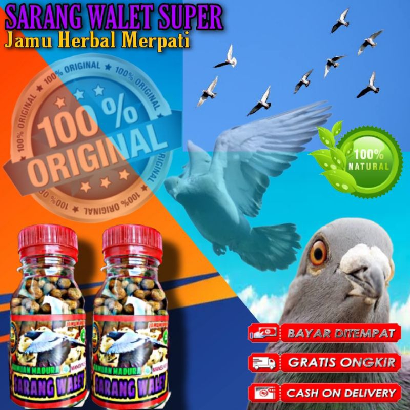 Jual SARANG WALET MANUVER 120 BUTIR jamu merpati kolong los door raja ...