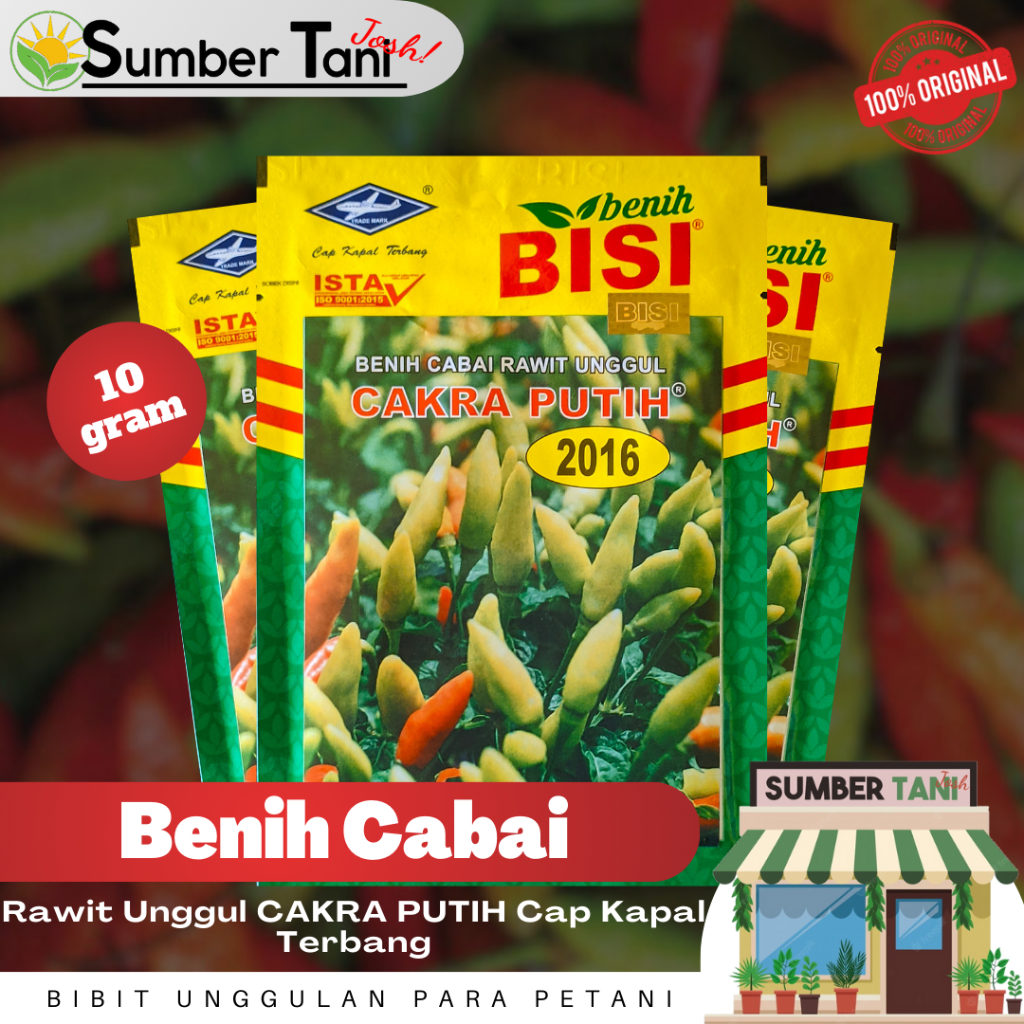 Jual Benih Cabai Rawit Unggul Cakra Putih 10 gram Cap Kapal Terbang ...