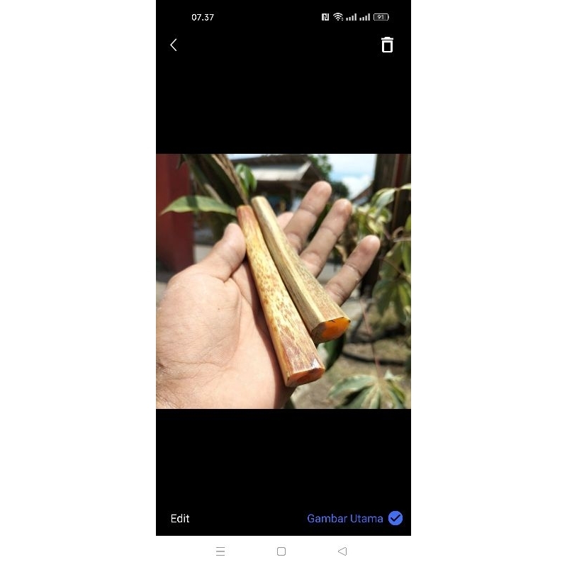 Jual once pinus atau getah damar | Shopee Indonesia