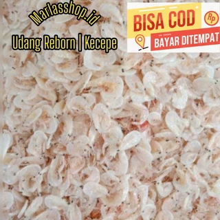 Jual Udang 1 Kg Terlengkap & Harga Terbaru Desember 2024 | Shopee Indonesia