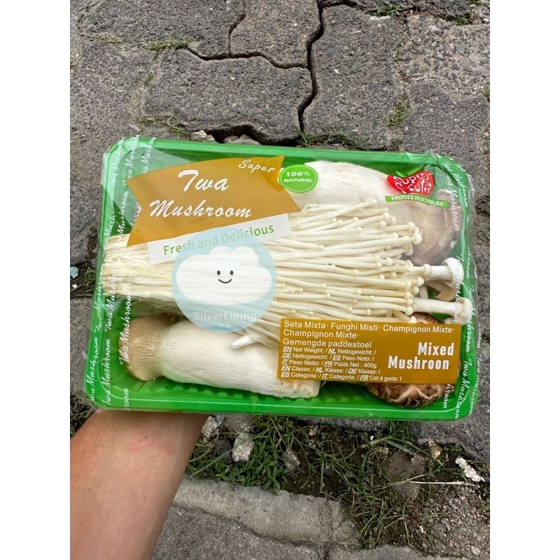 Jual MIXED MUSHROOM PACK / PAKET JAMUR CHINA 400GRAM | Shopee Indonesia
