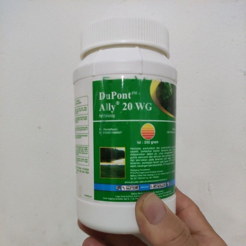 Jual Dupont Ally 20WG 250 gram Herbisida Racun Hama Gulma Racun ...