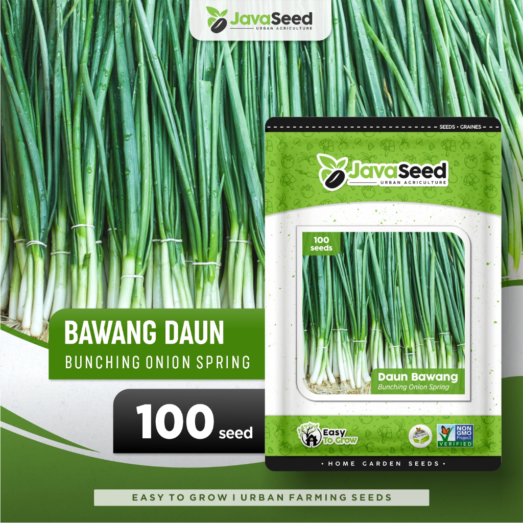 Jual JAVASEED - Benih Daun Bawang Pre Bunching Onion Natsugoro F1 100 ...