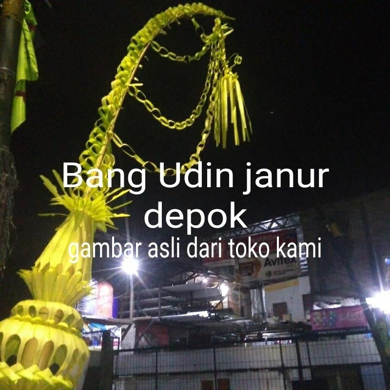 Jual Janur Kuning Pernikahan Terlengkap & Harga Terbaru Mei 2026 ...