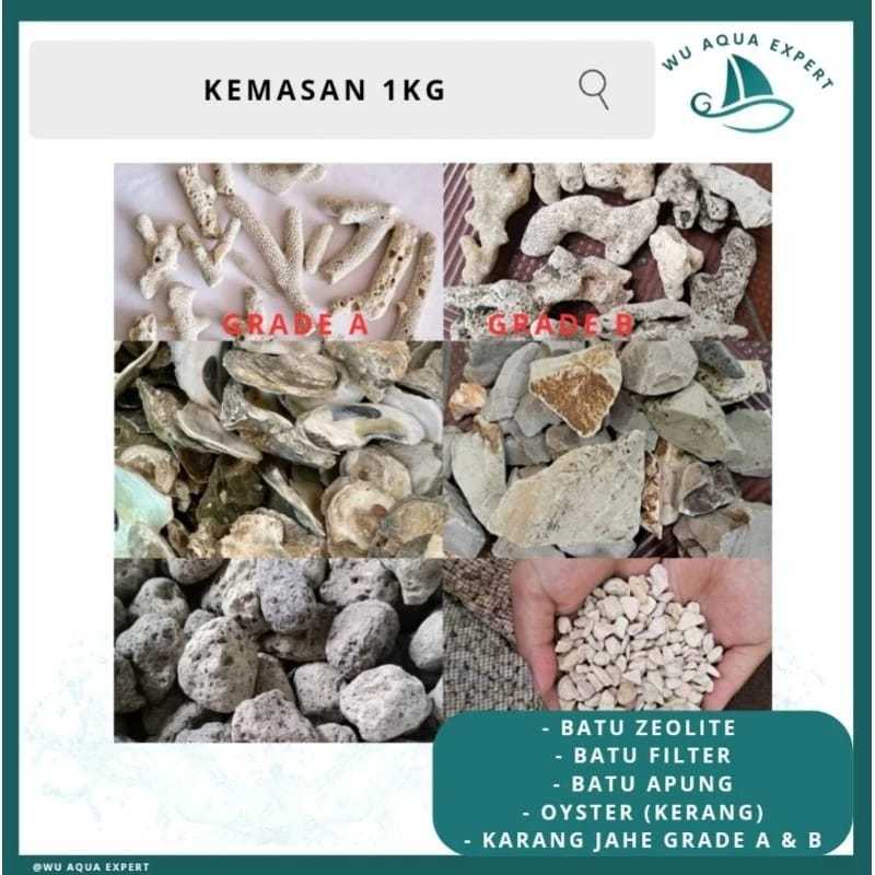 Jual 5 Kg KARANG JAHE, ZEOLIT, BATU FILTER, BATU APUNG, OYSTER KULIT ...