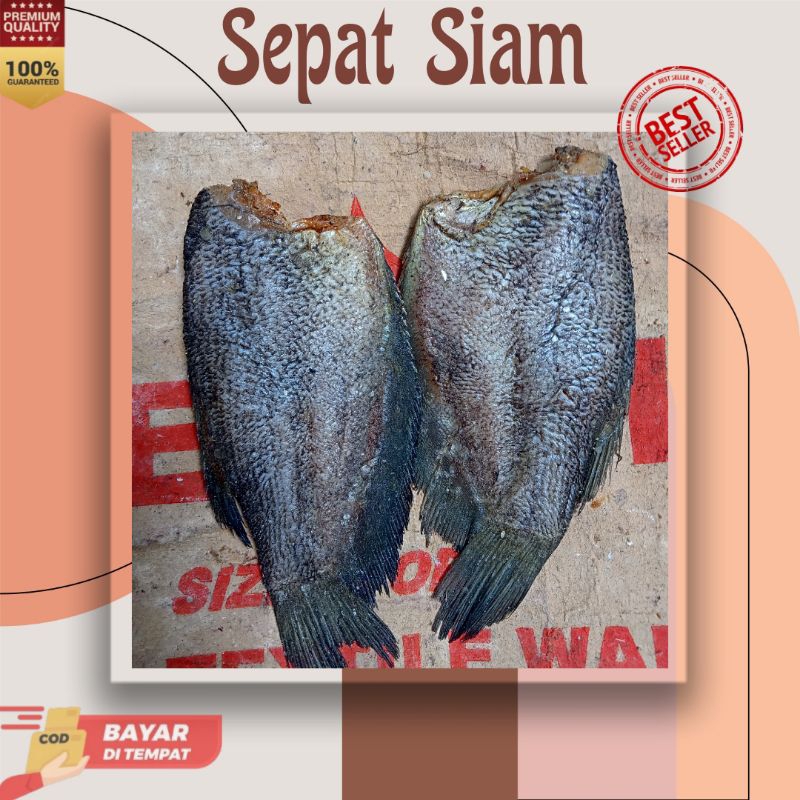 Jual ikan asin sepat Siam jumbo & sepat kering size sedang & jumbo ...