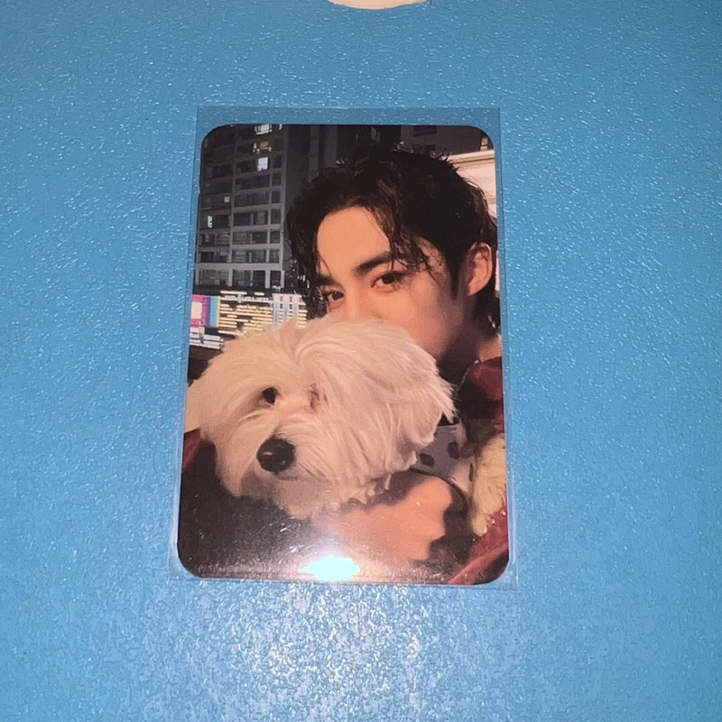 Jual pc seventeen scoups kkuma yes24 official bundle beberapa pc | Shopee Indonesia