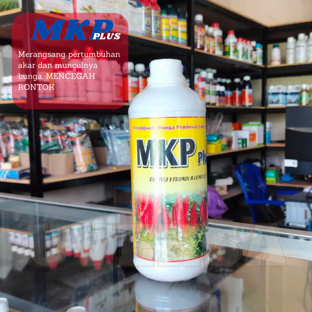 Jual PUPUK MKP CAIR PLUS BORON kemasan 1 liter Pemicu Bunga dan Buah | Shopee Indonesia