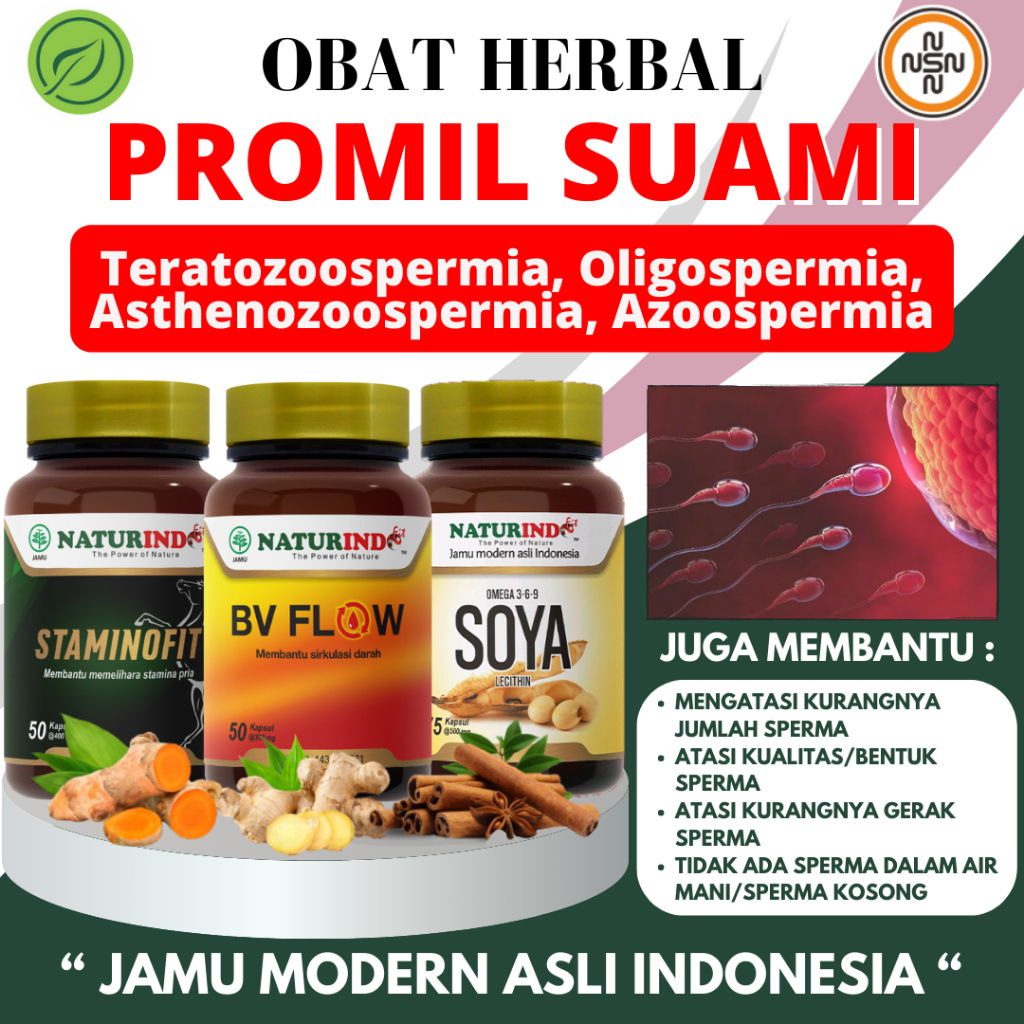Jual Obat Herbal Promil Suami Oligospermia Azoospermia ...
